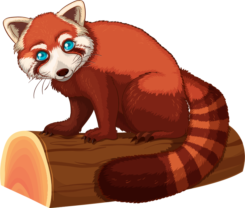 AcademiaABC – Panda Roșu Animale neobișnuite