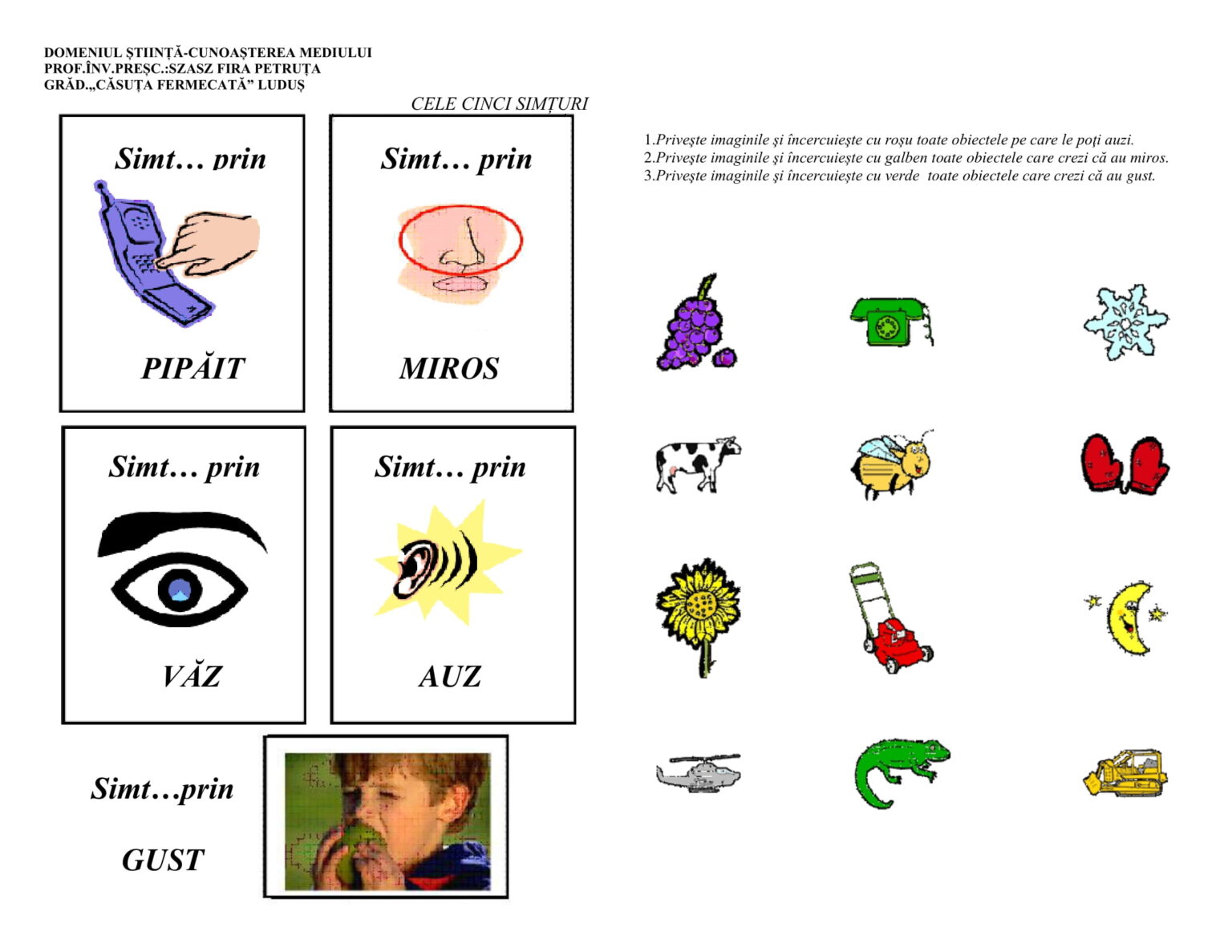 AcademiaABC – Fișă de lucru Cunoașterea mediului-Cele cinci simțuri