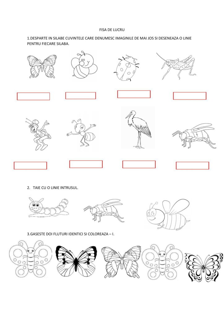 AcademiaABC – Fișă de lucru-Silabe