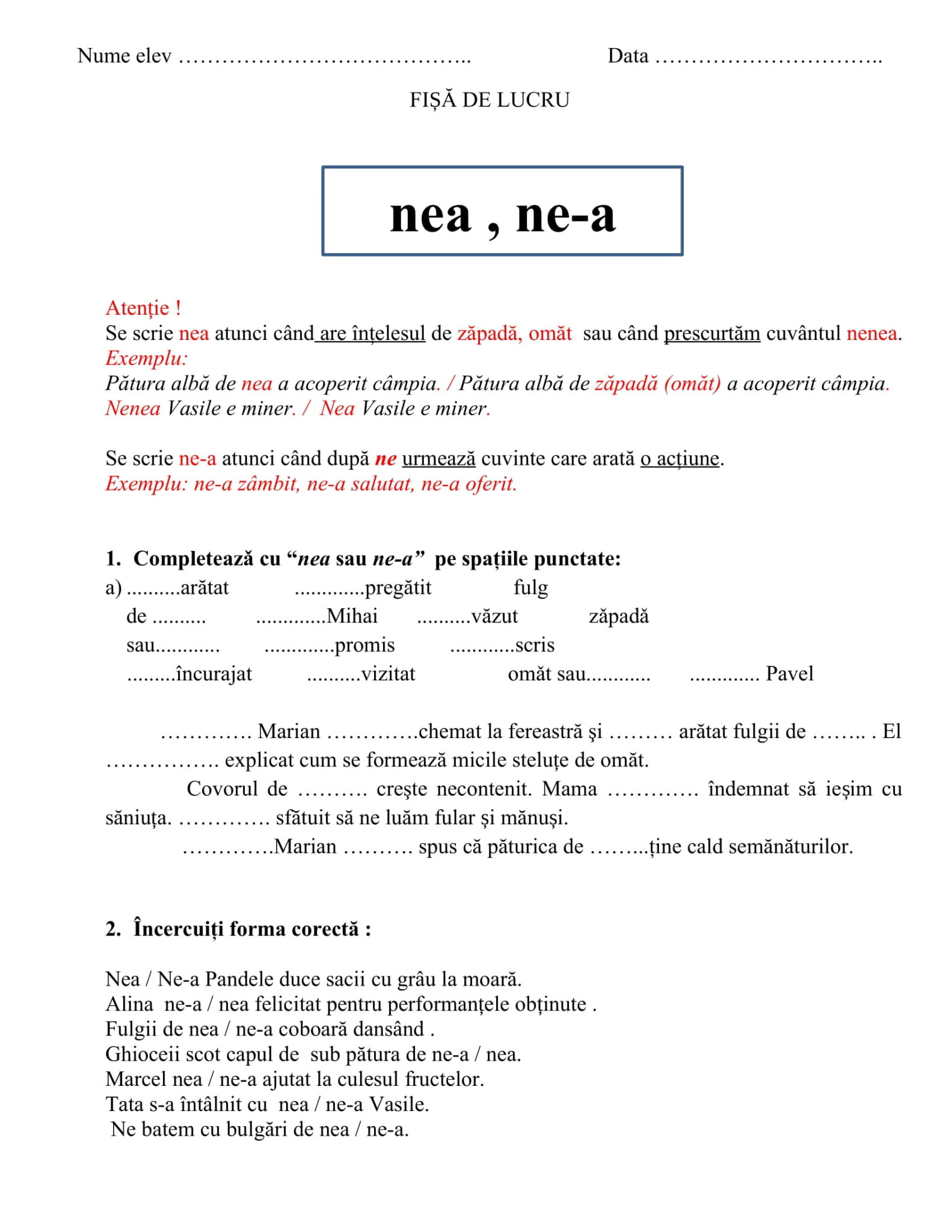 AcademiaABC – Fișă de lucru-Ortograma nea/ne-a