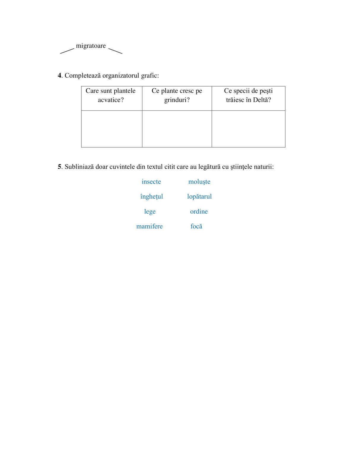AcademiaABC – Fișă de lucru Limba și literatura română Clasa a III-a