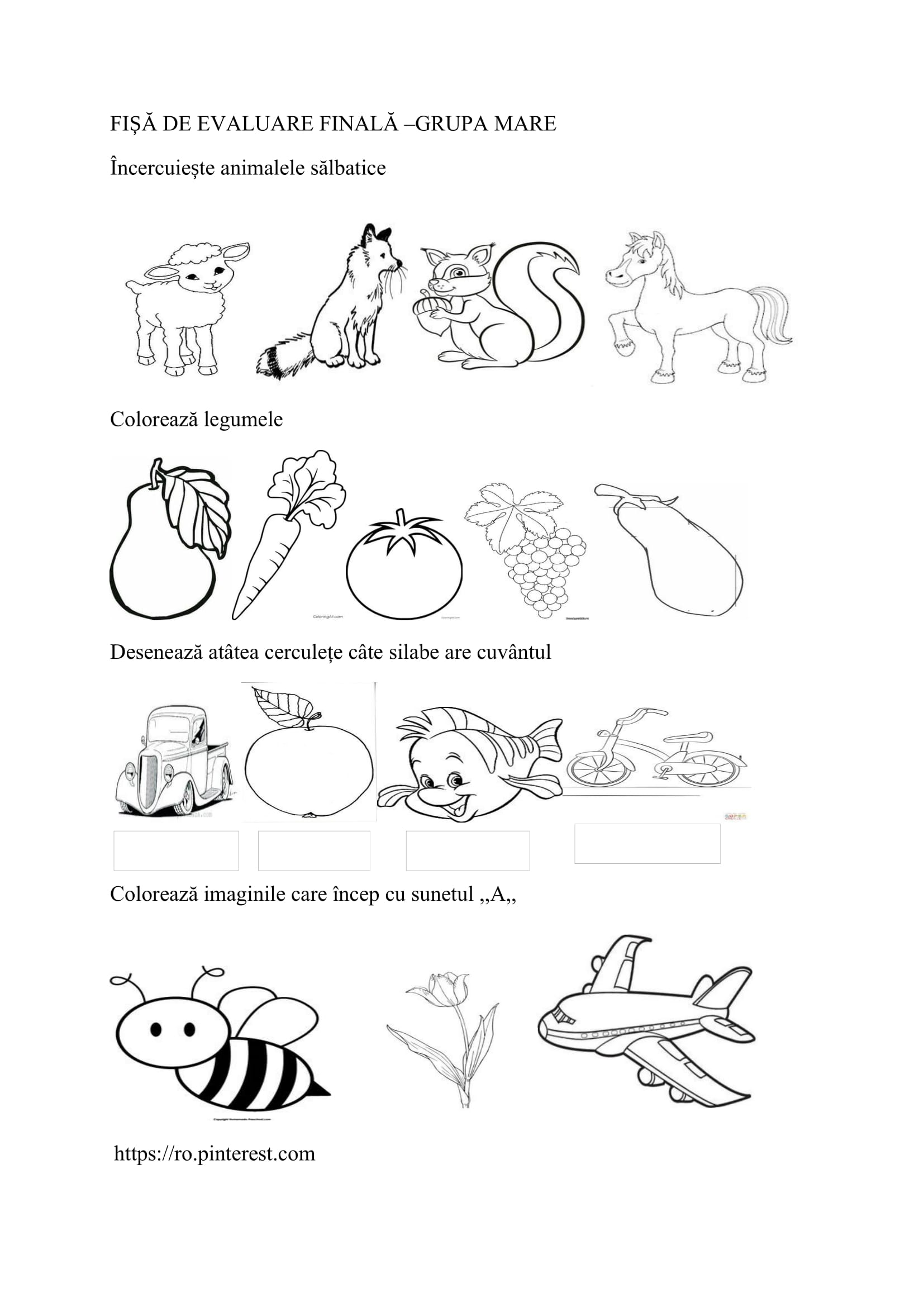 AcademiaABC – Evaluare finală Grădiniță Grupa mare