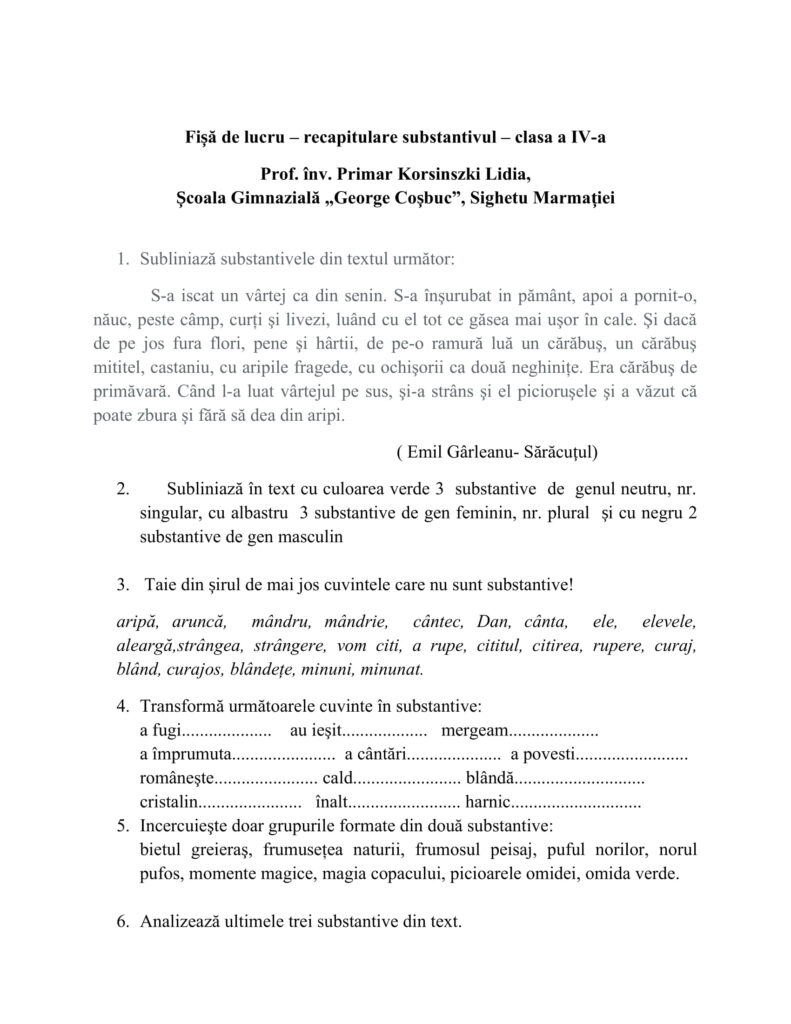 AcademiaABC – Fișă de lucru – Recapitulare Substantivul Clasa a IV-a