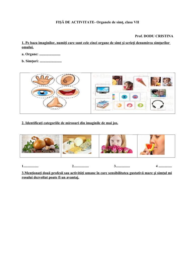 AcademiaABC – Fișă de activitate- Organele de simț Clasa a VII-a