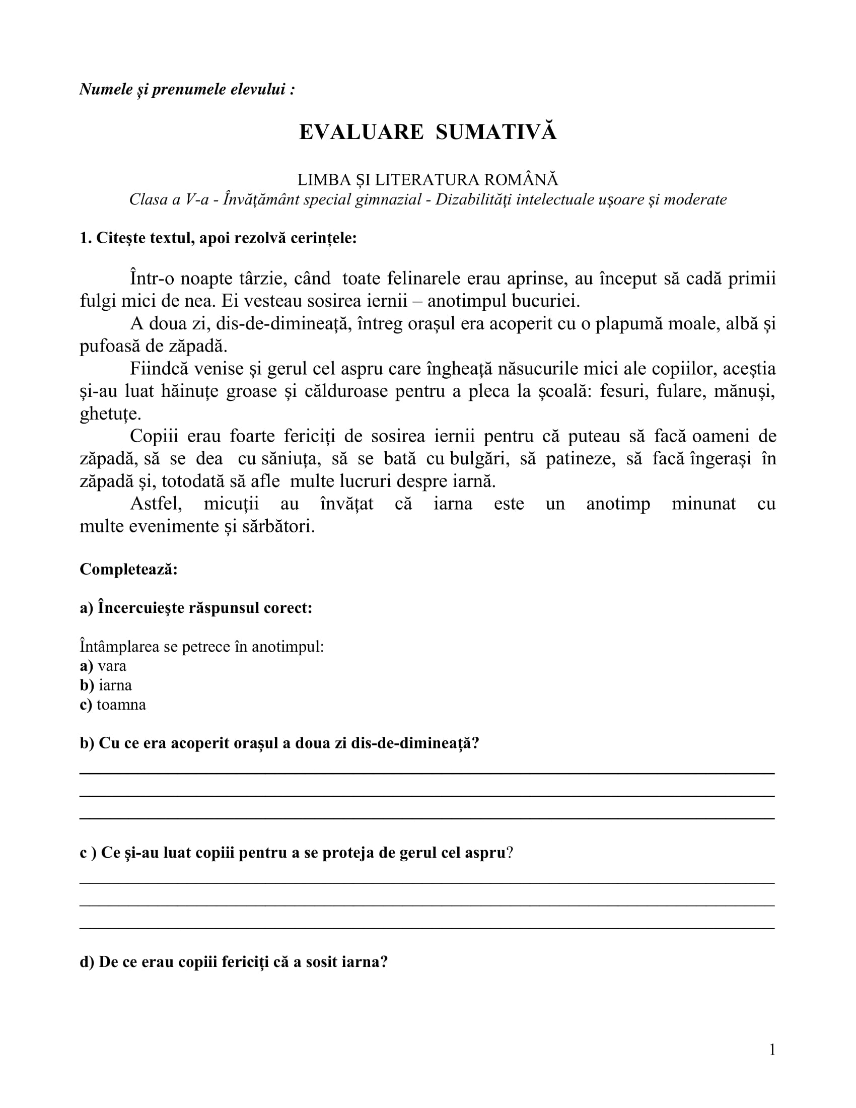 AcademiaABC – Evaluare sumativă Limba și literatura română Clasa a V-a Învățământ special